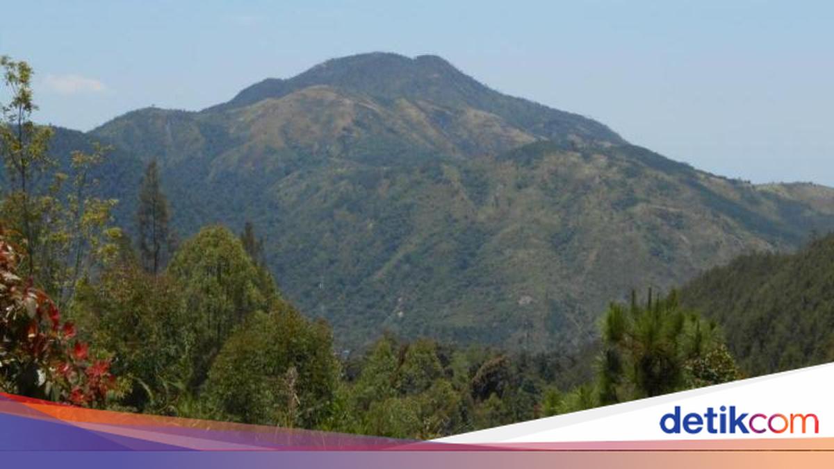 5 Fakta Mahasiswi Undip Tewas saat Mendaki Gunung Lawu