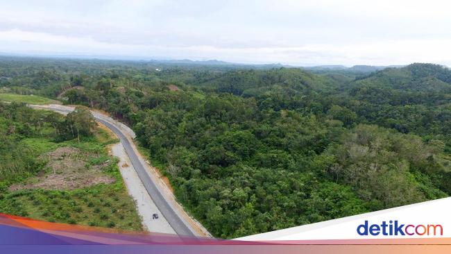 Melihat Cantiknya Jalan Menuju Entikong