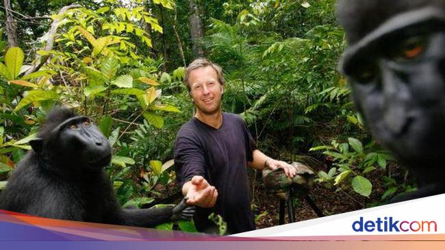 Cerita di Balik Hebohnya Monyet Selfie di Sulawesi Cerita di Balik Hebohnya Monyet Selfie di Sulawesi