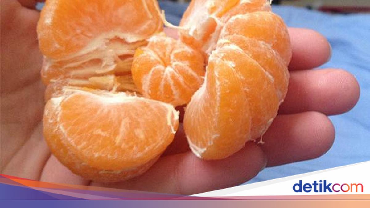Mau Lihat Jeruk dalam Jeruk atau Telur dengan 2 Kuning?