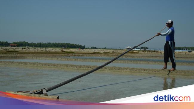 Kemarau Basah, Petani Garam di Rembang Resah