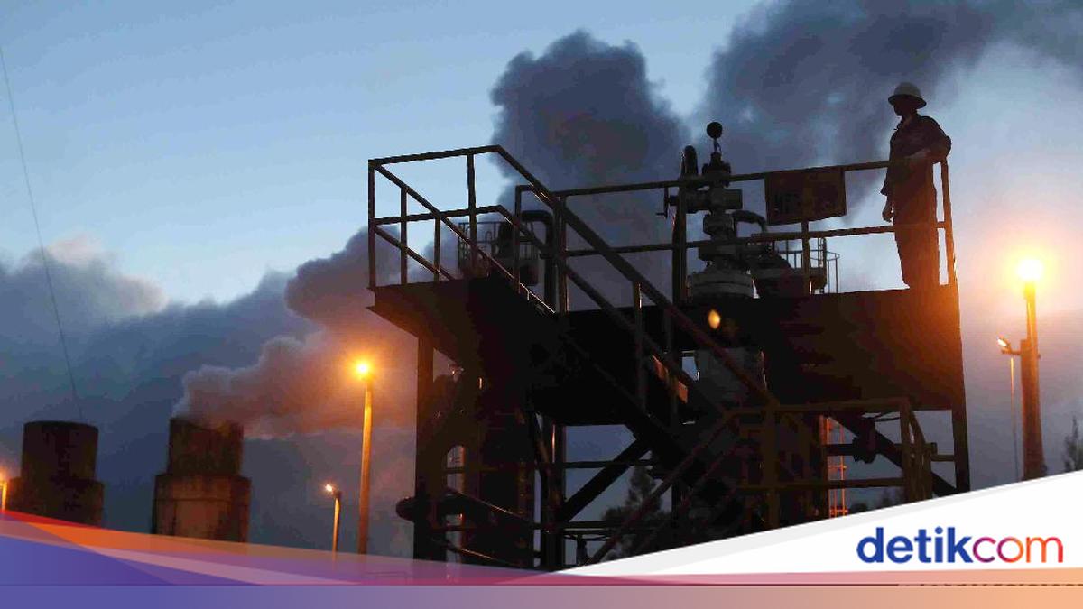 20 Tahun Beroperasi, Geo Dipa Energi Akhirnya Setor Dividen ke Negara ...