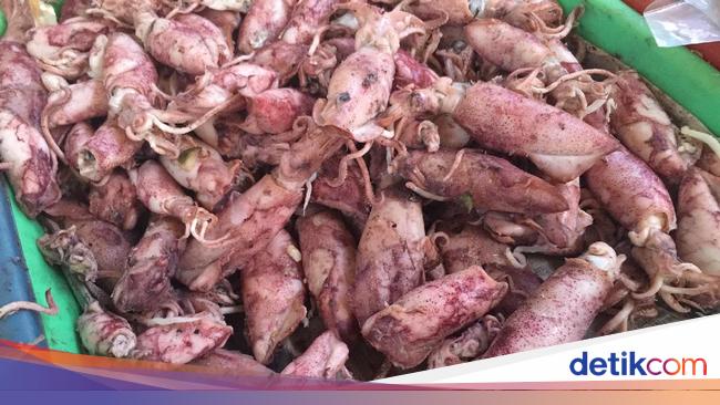 Cara Memasak Cumi Asin Agar Tidak Alot dan Enak Rasanya