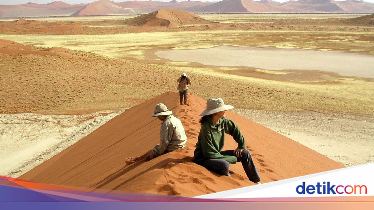 WIKA Incar Proyek Bandara hingga Rel Kereta di Namibia
