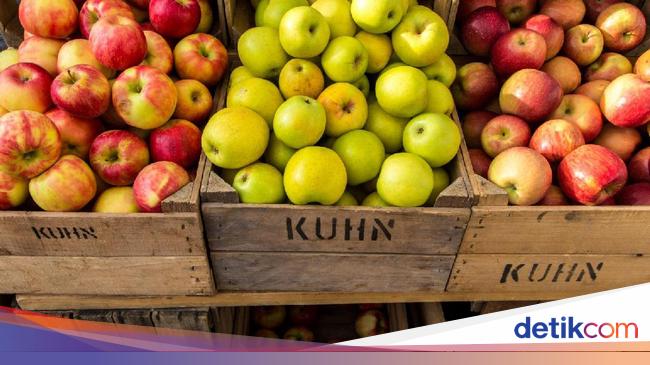 Rasanya Manis Segar, Apel Ternyata Punya 8 Fakta Unik yang Perlu Diketahui