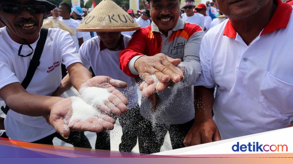 Petani Tebu Ancam Kepung Kemendag, Ini Sebabnya!