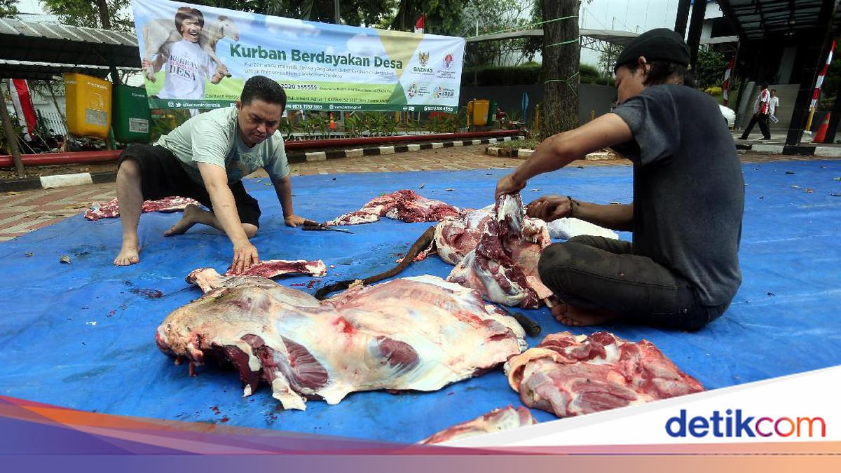 Hukum Memberi Upah Daging Kurban kepada Tukang Jagal
