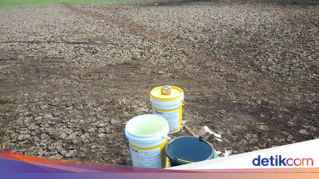 Kekeringan di Gunungkidul Meluas, 11 Kecamatan Krisis Air