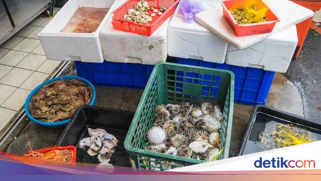 Ini 10 Makanan Paling Ekstrim di Dunia, Dari Paling Panjang hingga ...