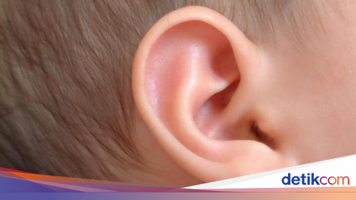Mengenal Telinga Manusia: Bentuk. Anatomi, dan Tips Kesehatan
