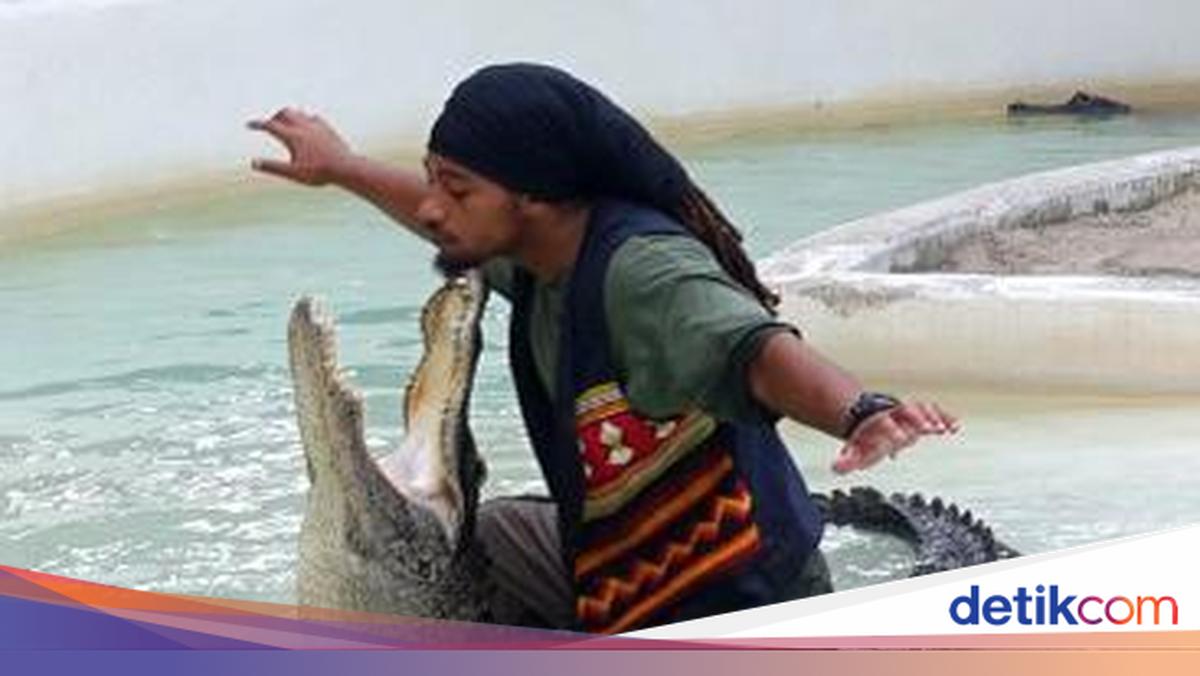 Produsen Nugget Fiesta Buka Lowongan Kerja Jadi Pawang Buaya, Ini Syaratnya