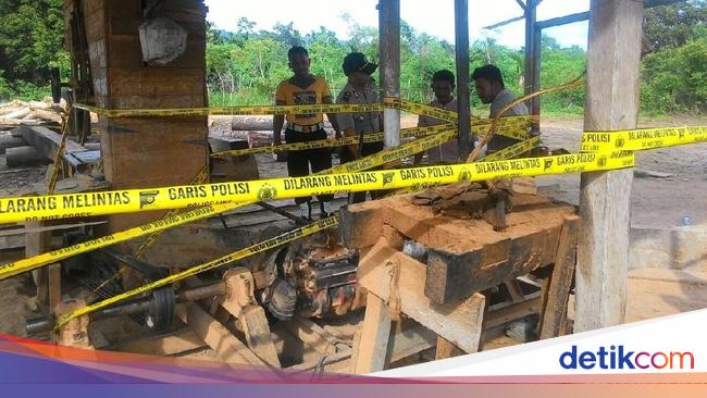 Polisi Sita 11 Kubik Kayu Ilegal di Aceh