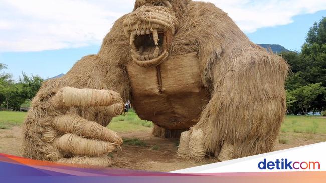 Foto: 'Monster-monster' Jerami Raksasa di Jepang