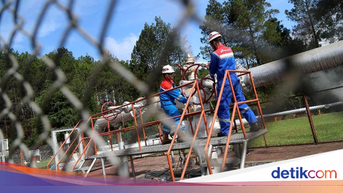Saham PGEO Lesu Sejak IPO, Ini Biang Keroknya!