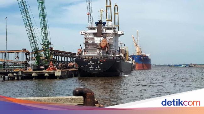 Mengintip Pelabuhan Ekspor CPO Terbesar di Indonesia