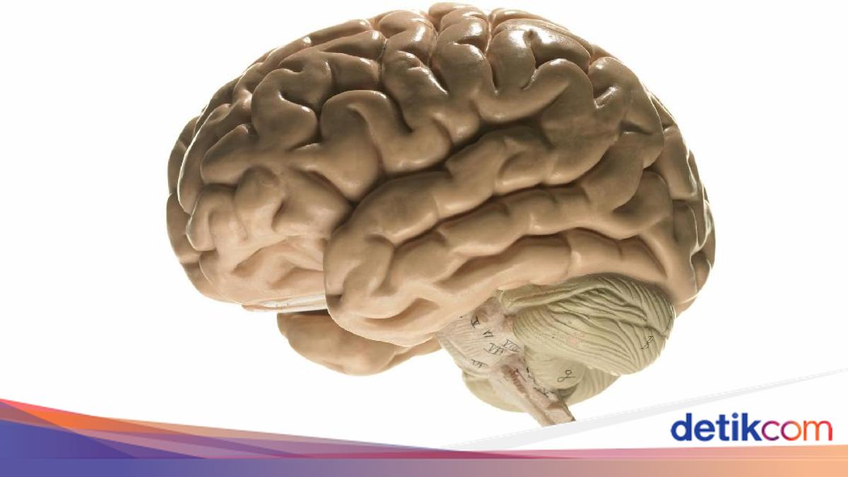 Bukan Sekadar Lupa, Trauma Bisa Menekan Akses Memori