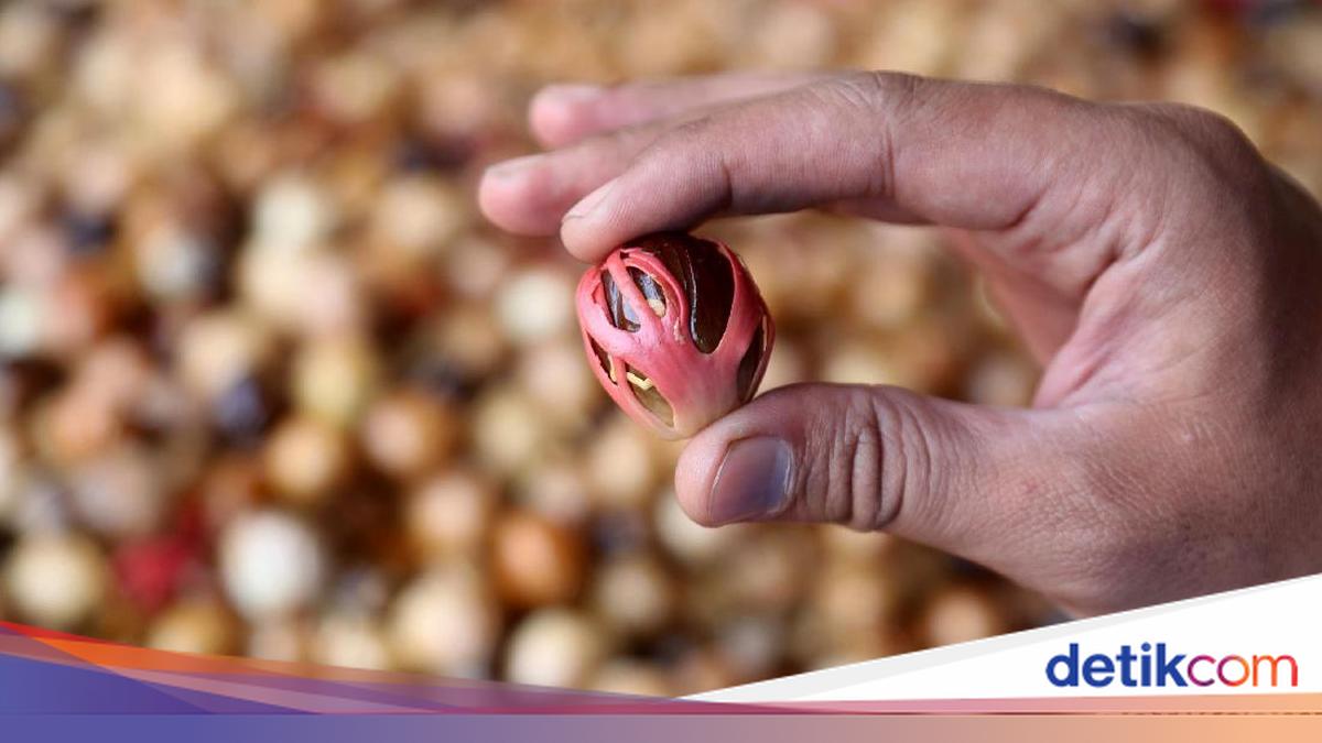 Buah Pala: Pengertian, Manfaat, dan Efek Samping