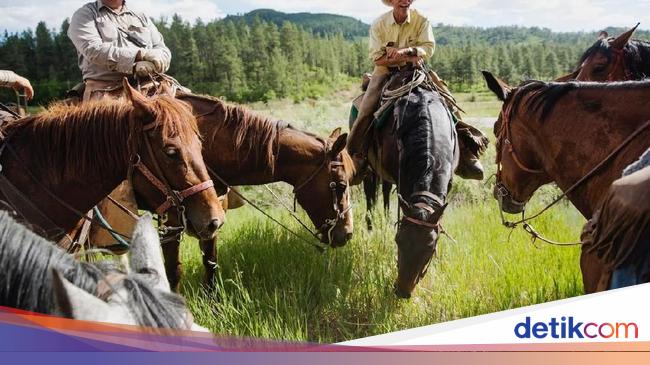 Foto: Begini Kehidupan Koboi Sesungguhnya di Amerika