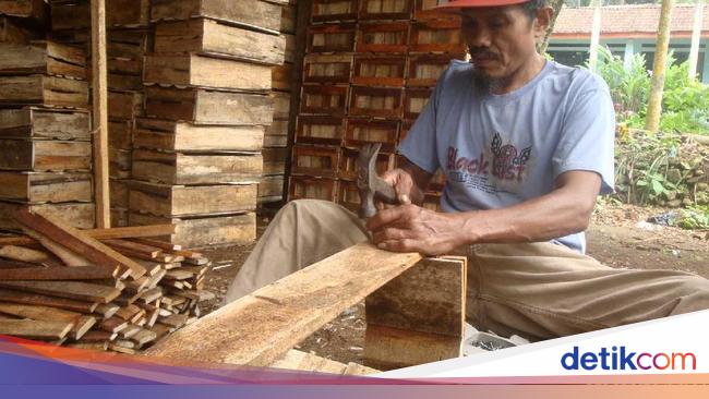 Kisah Penderes Nira, Bertaruh Nyawa Hingga Cacat Akibat Terjatuh