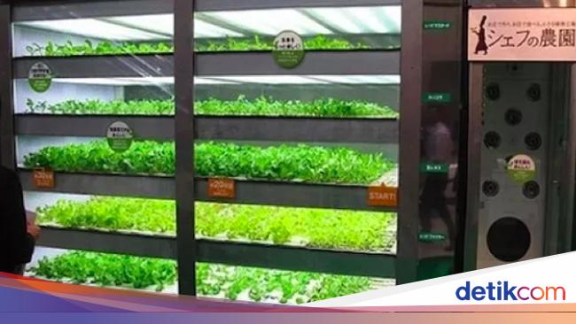 Deretan Vending Machine Terunik di Dunia