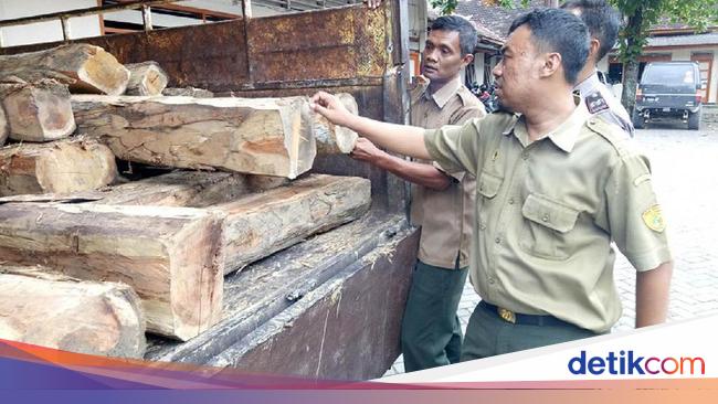 Puluhan Kayu Jati Diduga Hasil Curian Diamankan di Grobogan Puluhan Kayu Jati Diduga Hasil Curian Diamankan di Grobogan