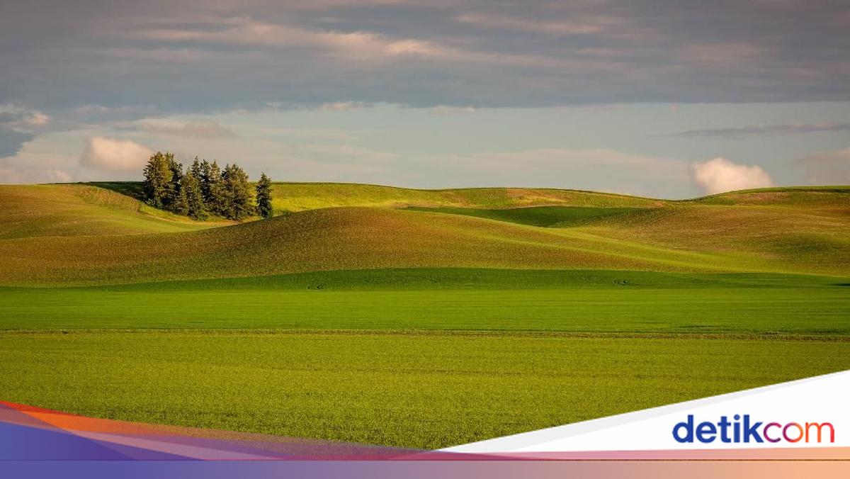 Biosfer: Pengertian, Komponen, dan Contohnya