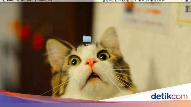 Wallpaper Desktop Komputer yang Lucu dan Kreatif