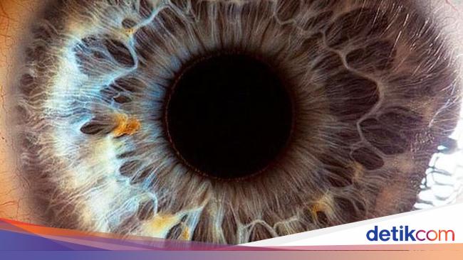Mata Manusia dari Jarak Super Dekat, Keren atau Seram?