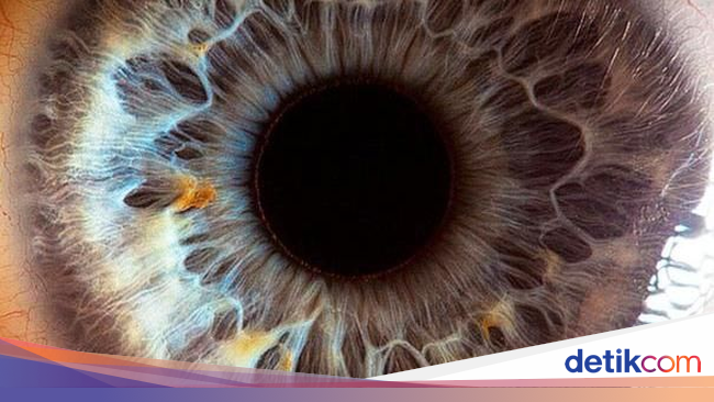 Mata Manusia dari Jarak Super Dekat, Keren atau Seram?