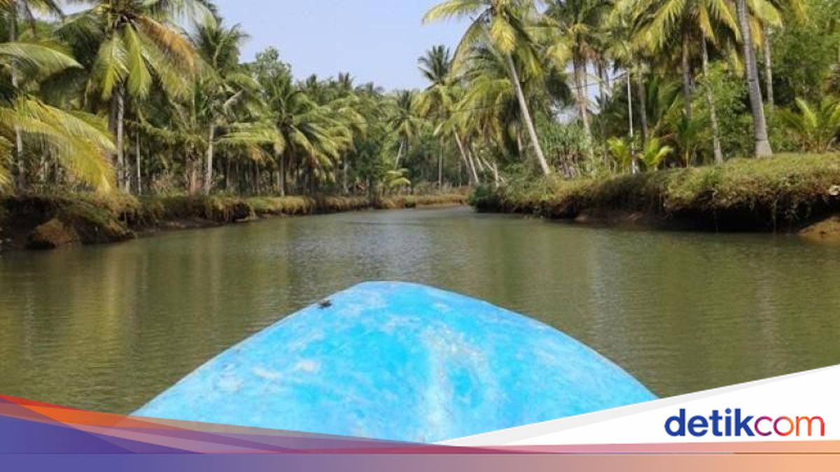 Kali Cokel Pacitan, Wisata Sungai Hijau yang Bikin Serasa di Amazon