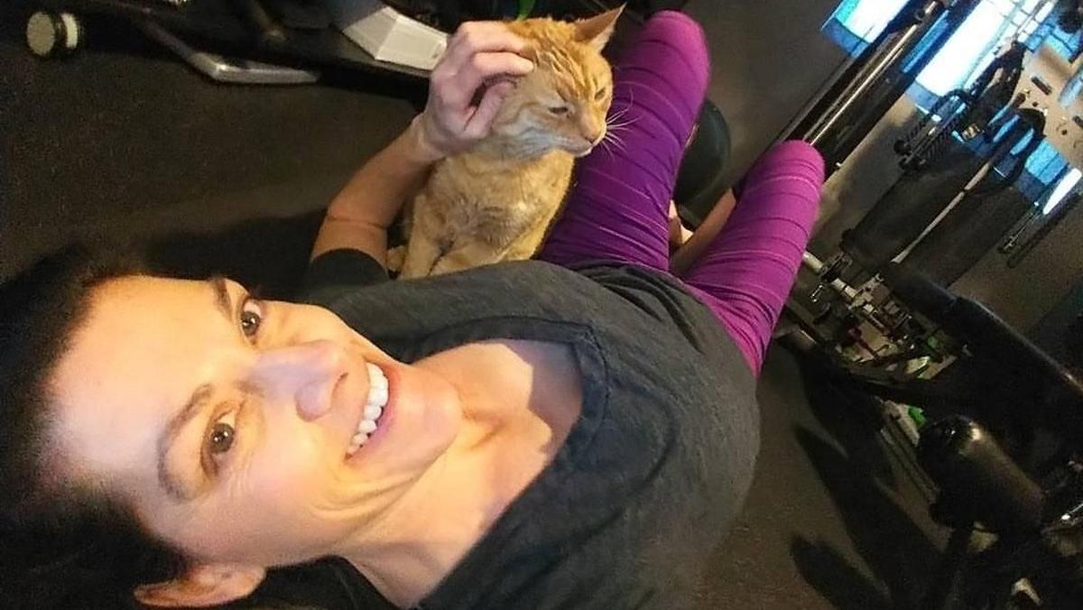 Gym Cat, Para Kucing Imut yang Senang Menemani Orang Nge-gym