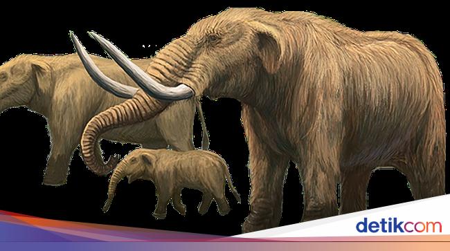 3 Generasi Gajah yang Pernah Hidup di Sangiran, Ketahui Yuk!