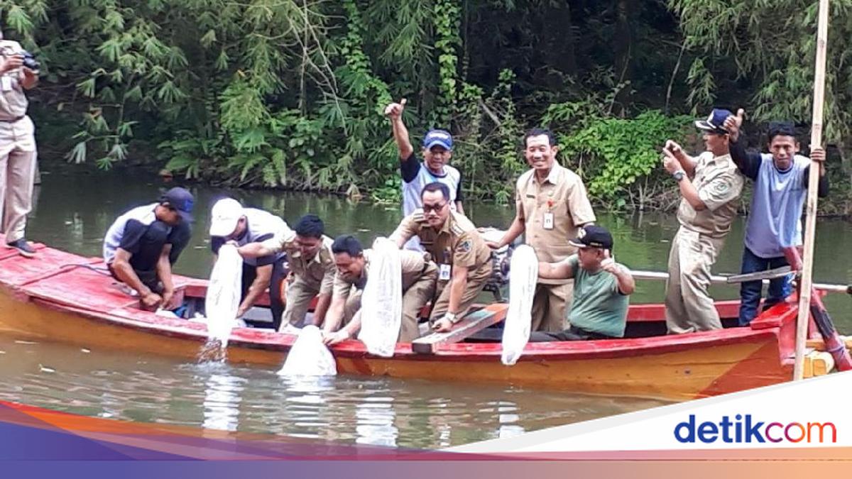 Banyuwangi Rintis Wisata Rumah Apung Waduk Lecari