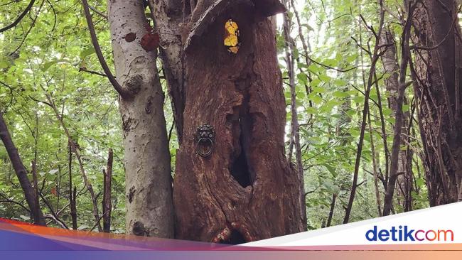 Foto: Apakah Ini Rumah Peri?