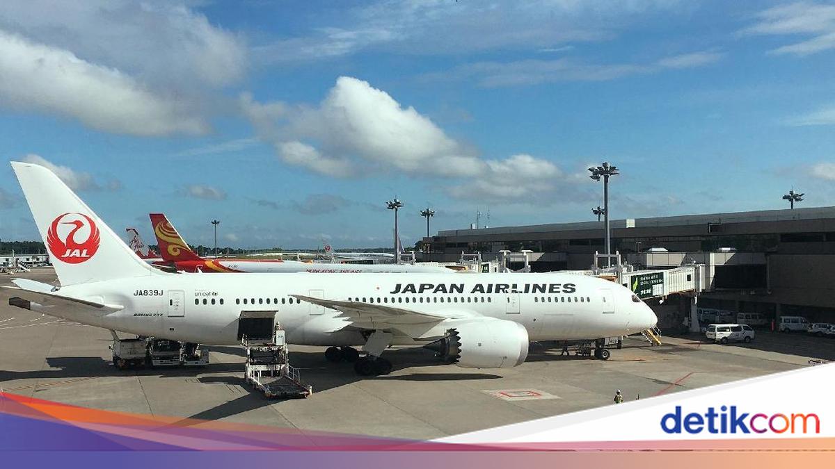 Penerbangan JAL Ditunda 3 Jam, Tunggu Dua Pilot Lolos Tes Alkohol
