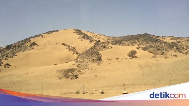 Kisah Hamzah Sang 'Singa Allah', Paman Rasulullah yang Jago Perang