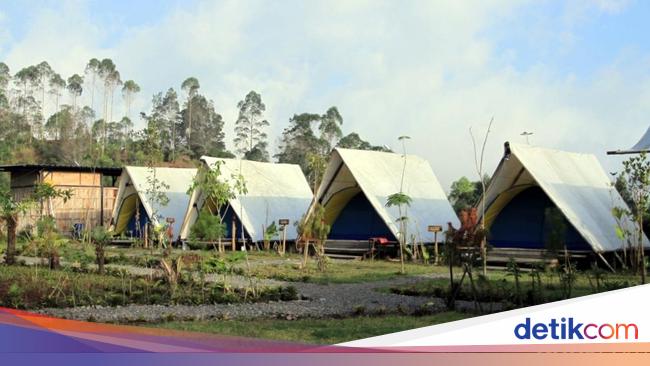 Foto: Kemping Asyik di Bandung Serasa Seperti di Hotel