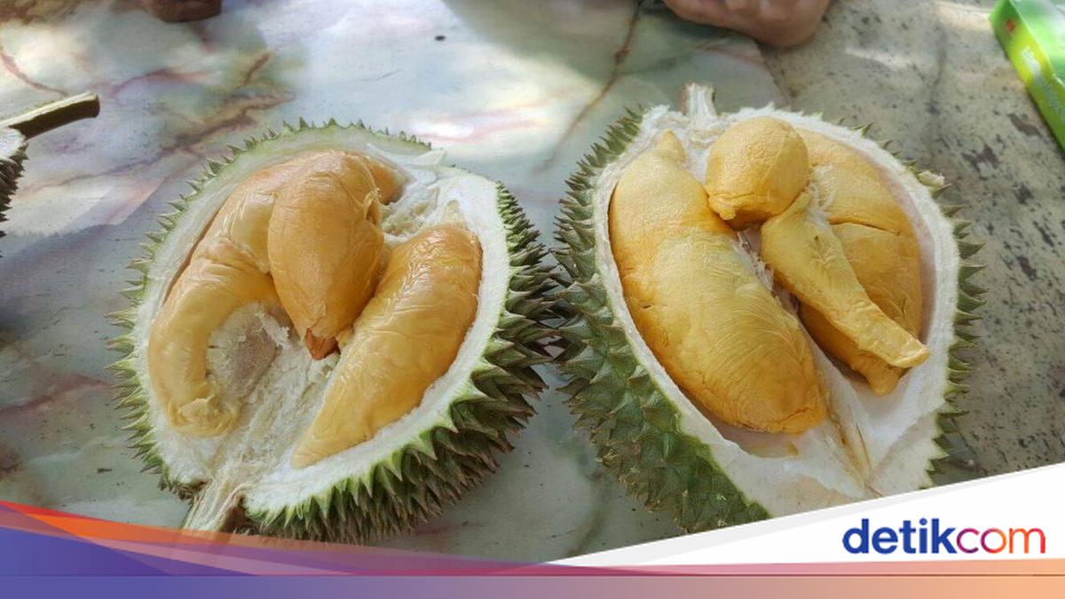 Durian Boleh Masuk Kargo Pesawat, Asalkan...