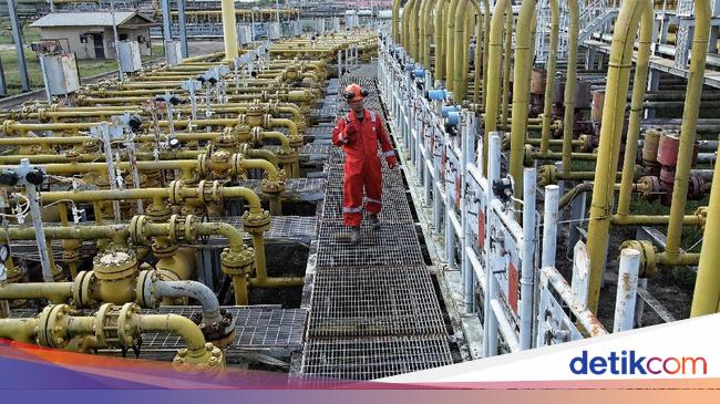 Pertamina Diminta Tidak 'Main' di Lapangan Kecil, Cari yang Besar!