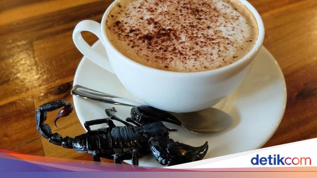 Di Kafe Ini, Bisa Minum Kopi Sambil Bermain dengan Kalajengking dan ...