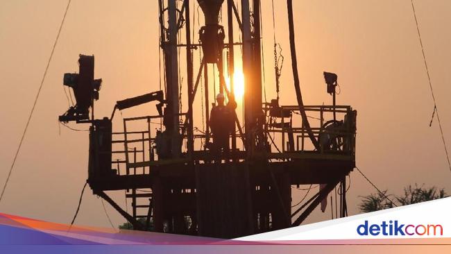 Teknik Perminyakan Jadi Jurusan Paling Banyak Dicari, Ada di Mana Saja?