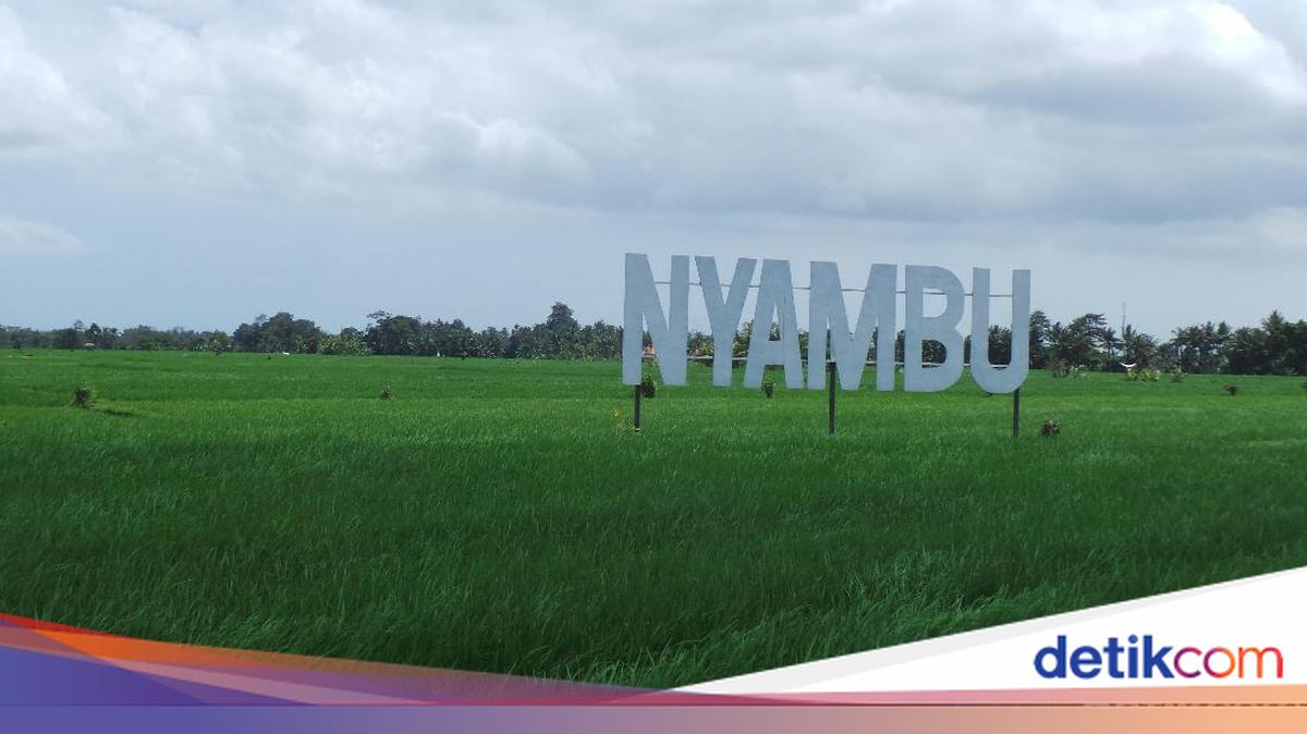 Mimpi Desa Wisata Nyambu Jadi Ubud Kedua di Pulau Dewata