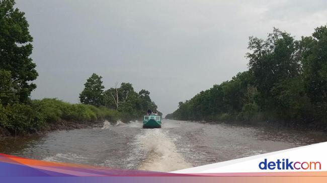 Terpencilnya Lalan Sumsel, Sarang Buaya hingga Pembuangan Mayat
