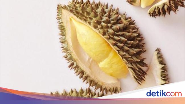 Keren! Kolektor Ini Punya Durian Botak hingga Durian Kura-kura di Kebunnya