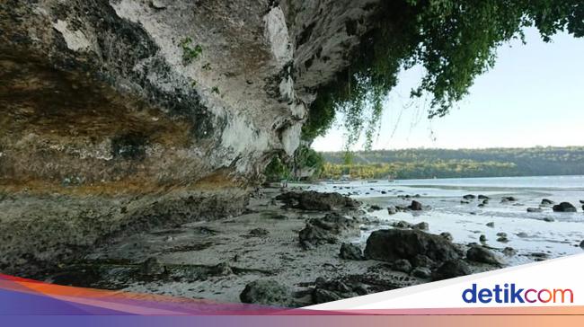 Mengenal Biak Numfor yang Heboh karena Kemunculan Paus Pembunuh