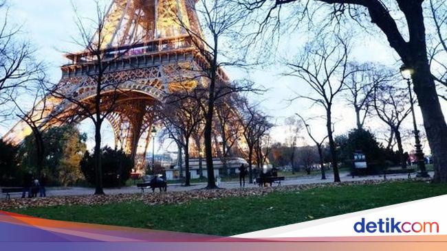 Mau Kuliah Jurusan Sastra Perancis? Ini Prospek Kerja Lulusannya