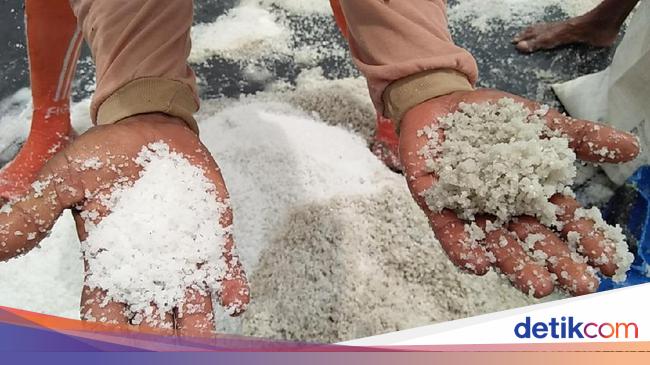 Mengintip Panen Terakhir Petani Garam di Rembang
