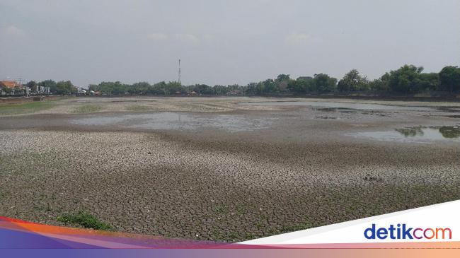 Kolam Segaran Tinggalan Majapahit Kering, Seperti Apa Penampakannya?