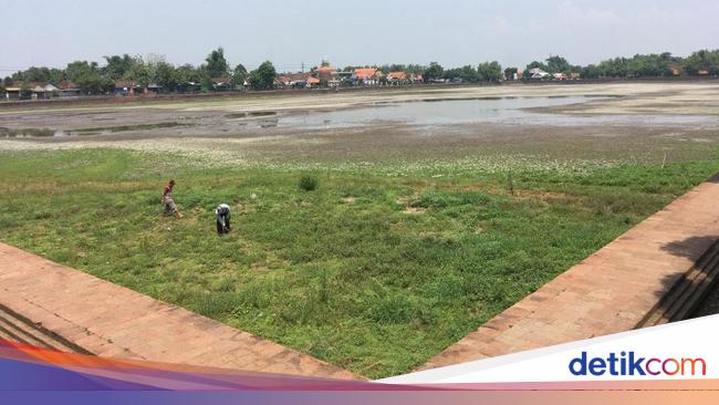 Kolam Segaran Peninggalan Majapahit Kering, Benarkah Ada Piring Emas?