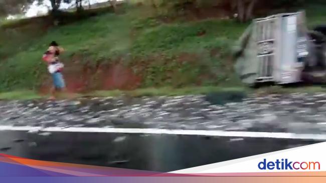 Pikap Terguling di Tol Japek KM 64, Muatan Lele Berserakan